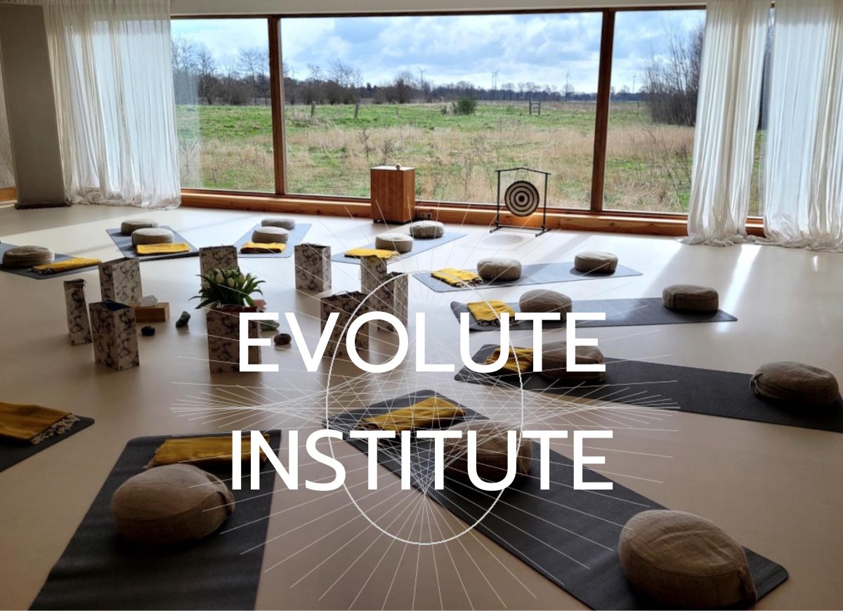 Our Approach | Evolute Institute